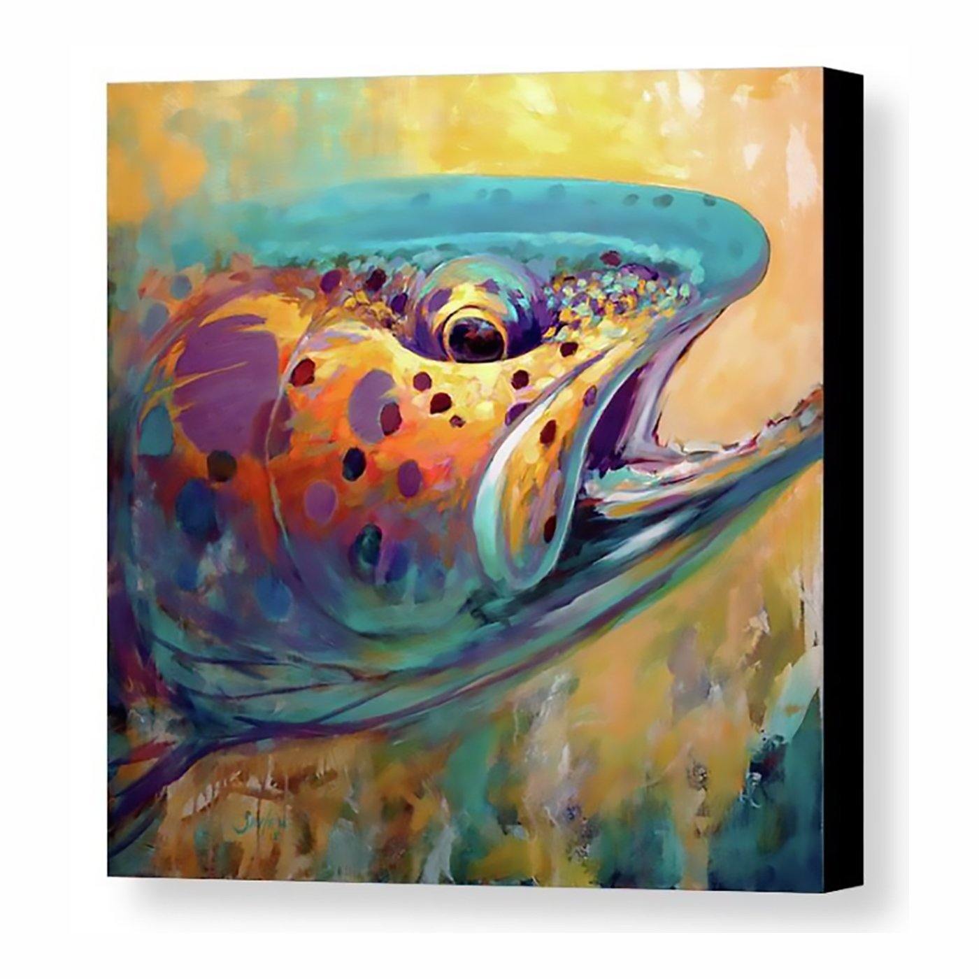 Rainbow Trout Fish Drawings